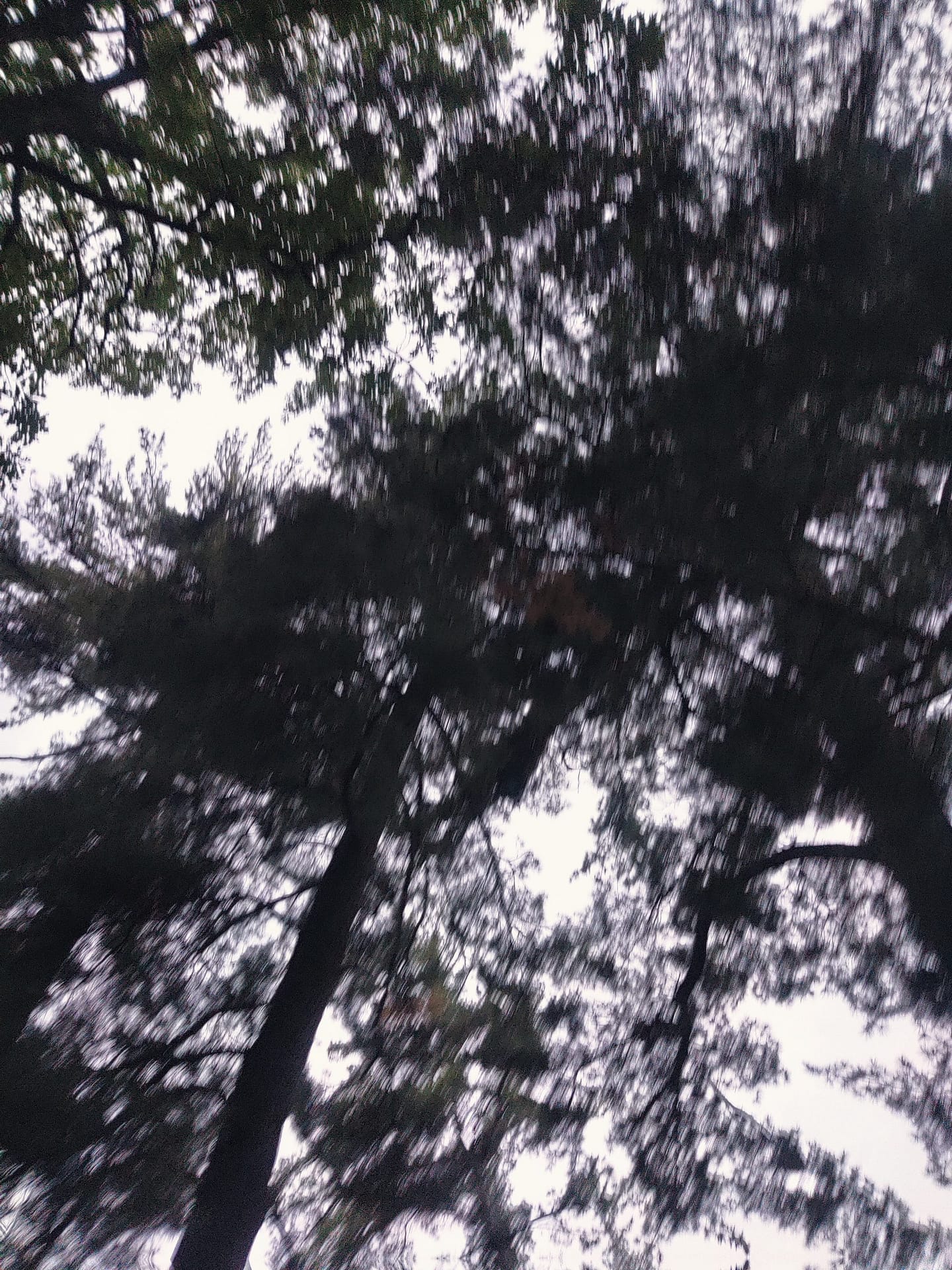 Tioga Mine Pit - Adventures of Seleana