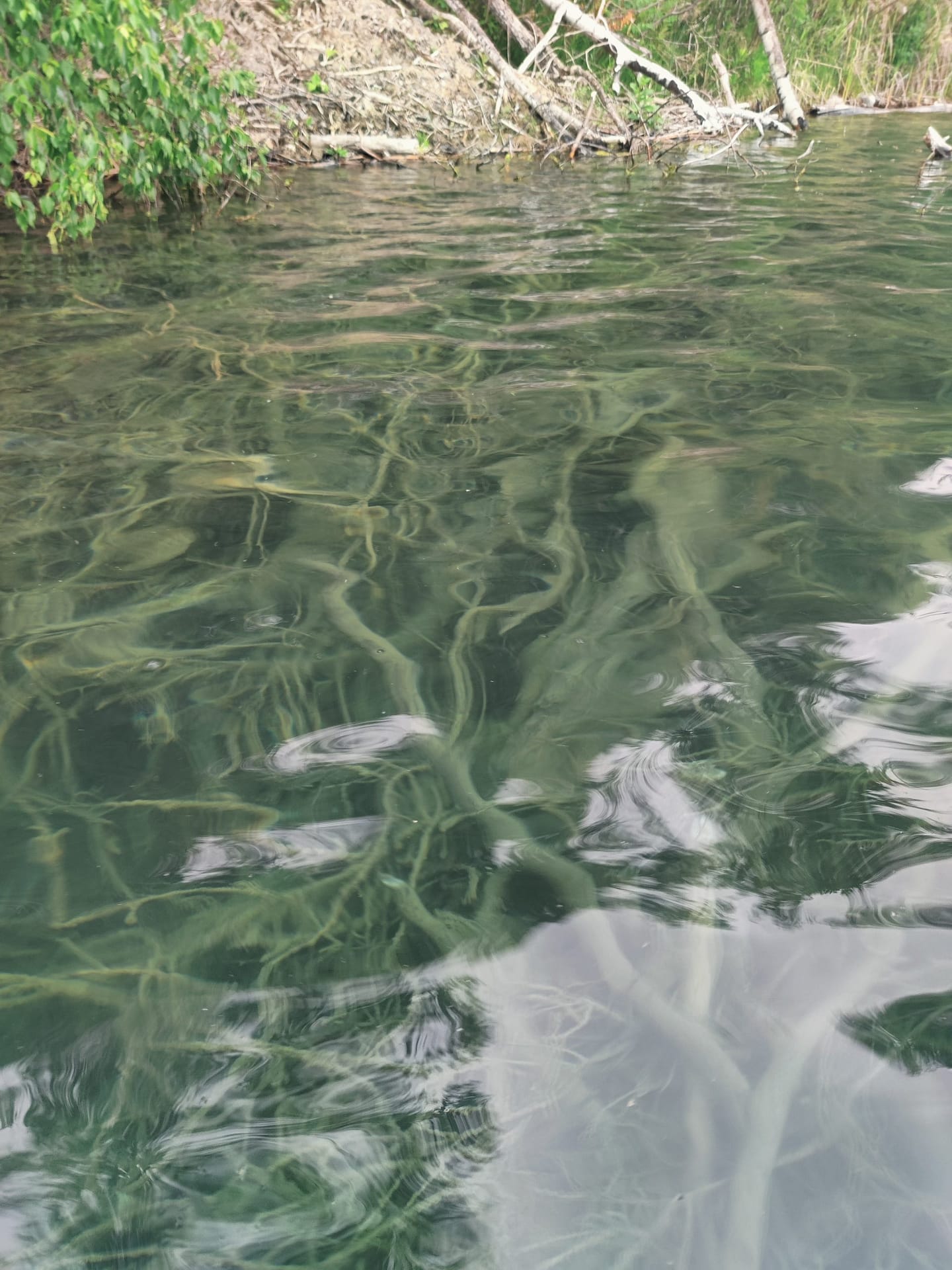 Tioga Mine Pit - Adventures of Seleana